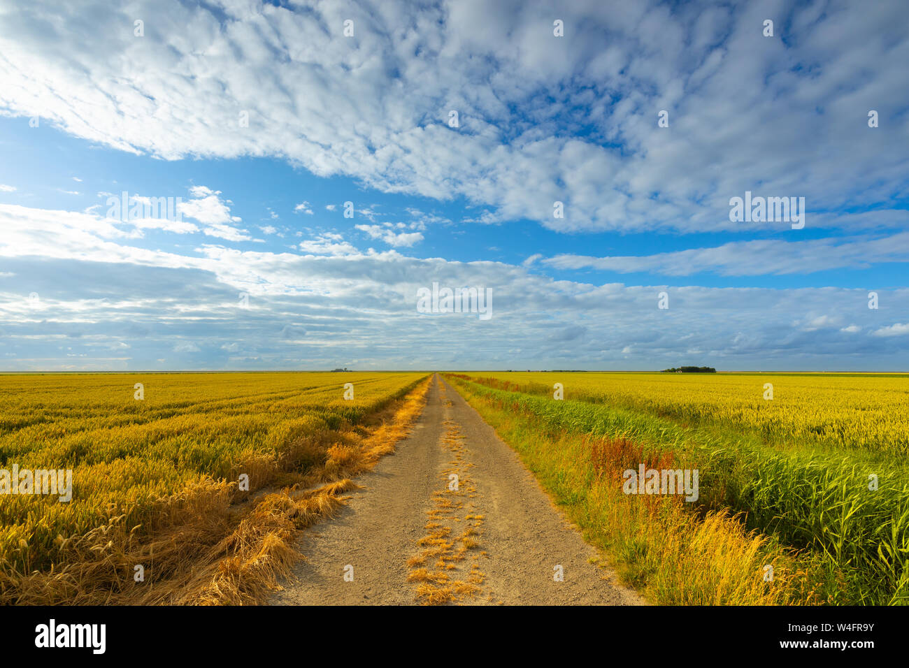 Rural rural sun and countryside hi-res stock photography and images - Alamy