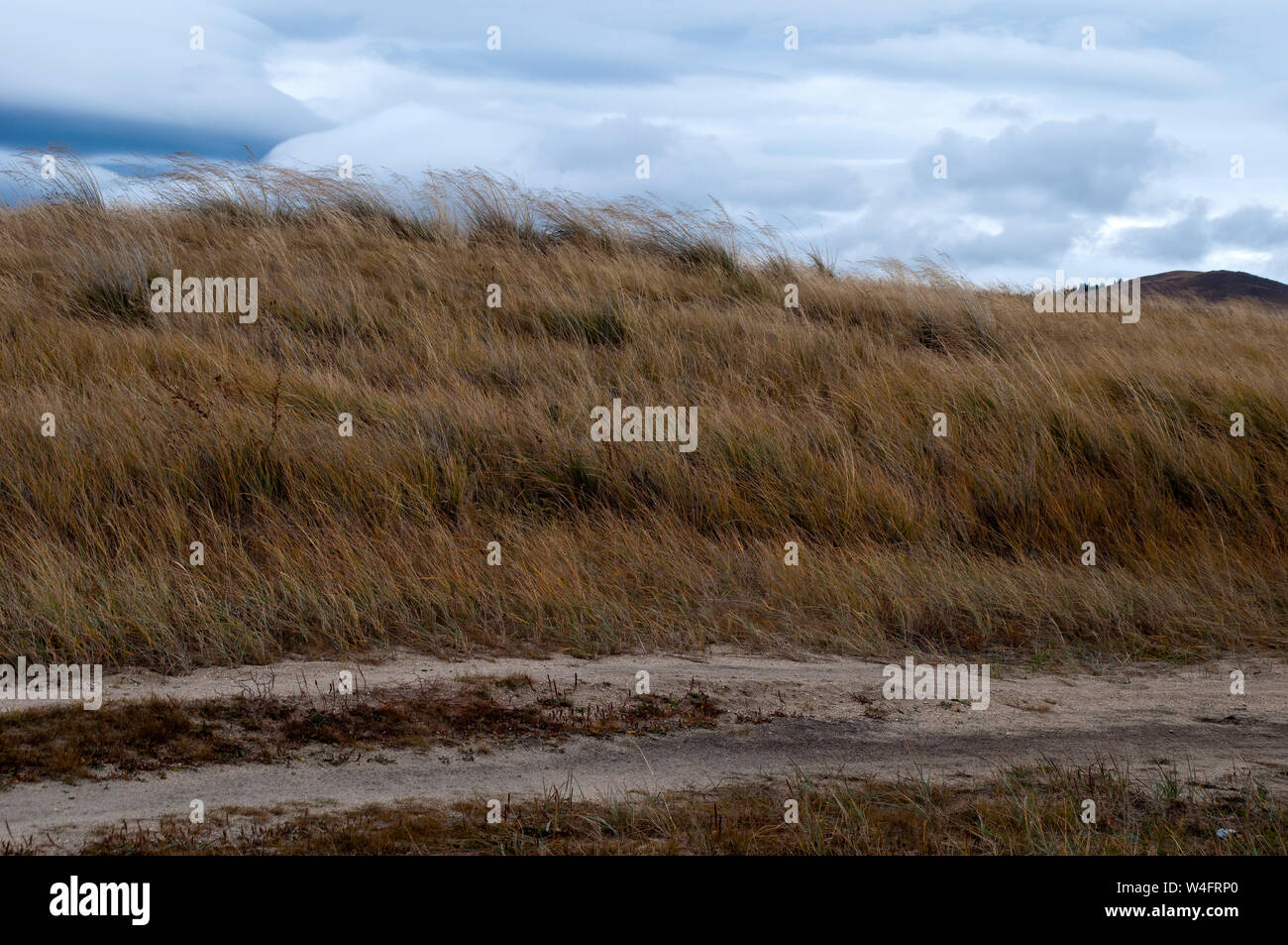 Wind swept grass hi-res stock photography and images - Alamy