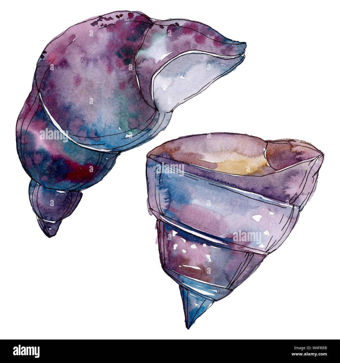 Summer beach seashell tropical elements. Watercolor background ...