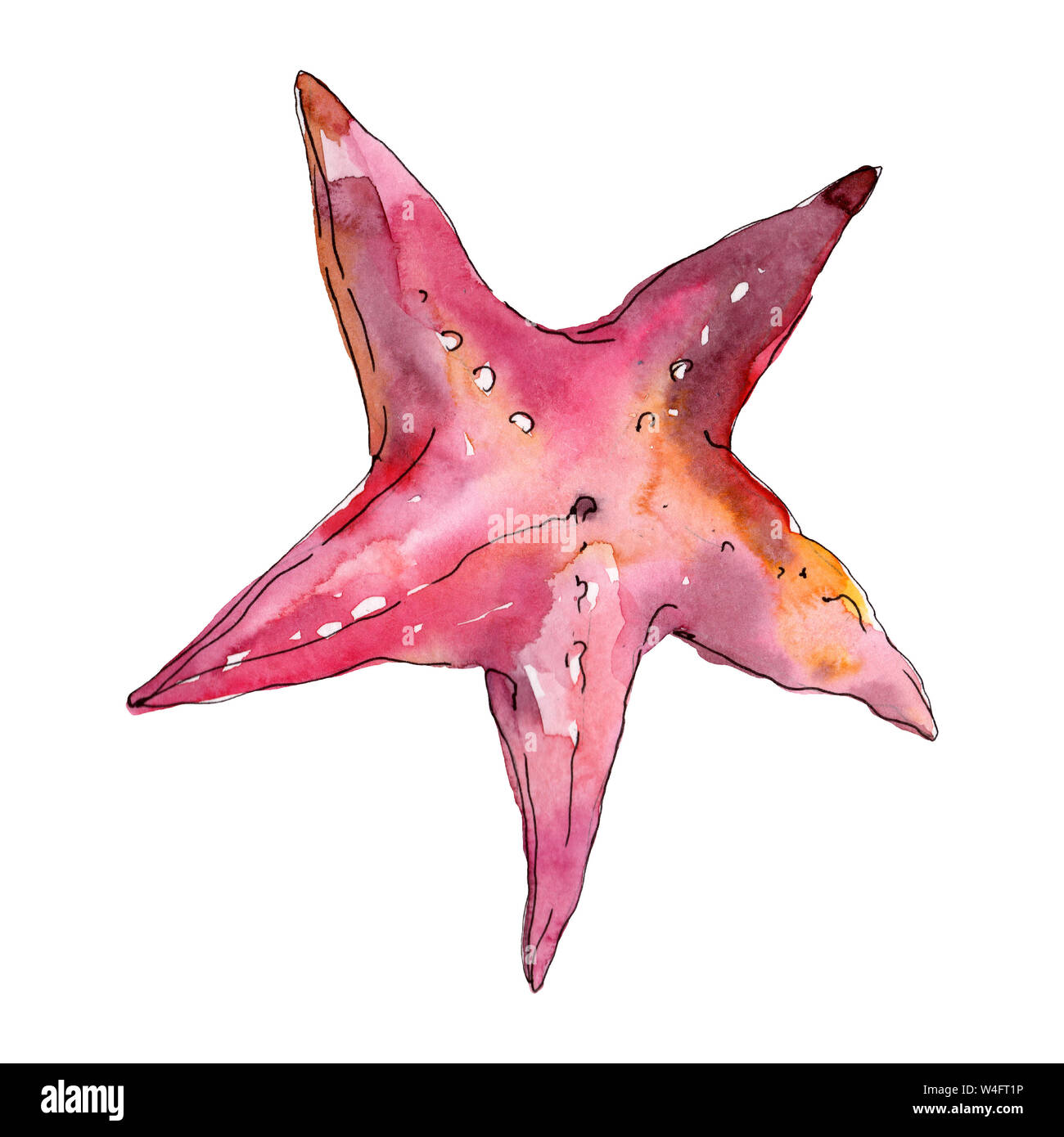 Summer beach starfish tropical elements. Watercolor background ...