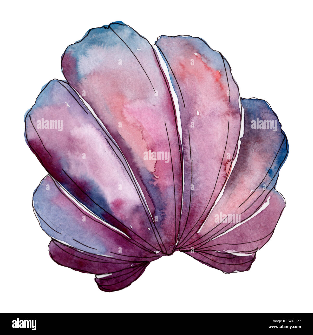 Summer beach seashell tropical elements. Watercolor background ...