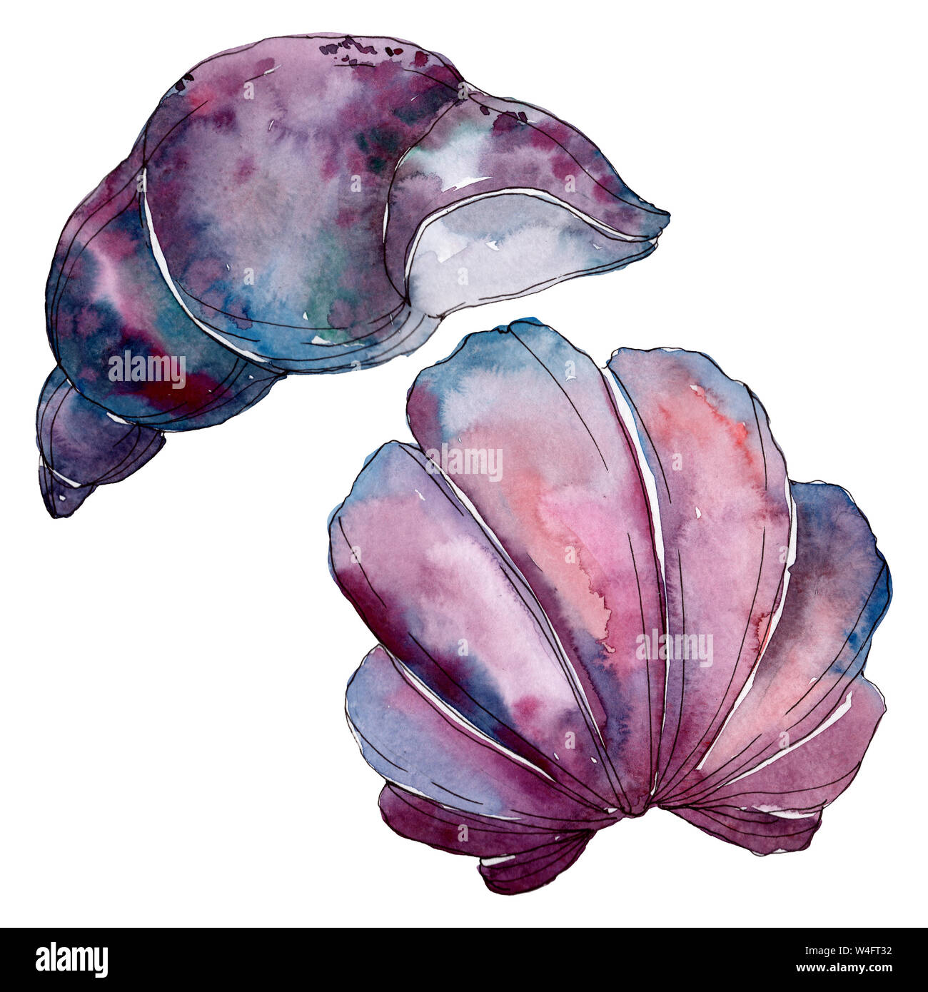 Summer beach seashell tropical elements. Watercolor background ...