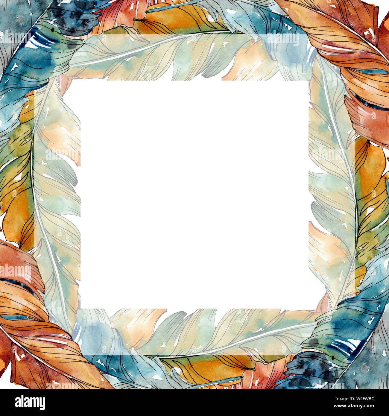 Colorful bird feather from wing isolated. Watercolor background ...