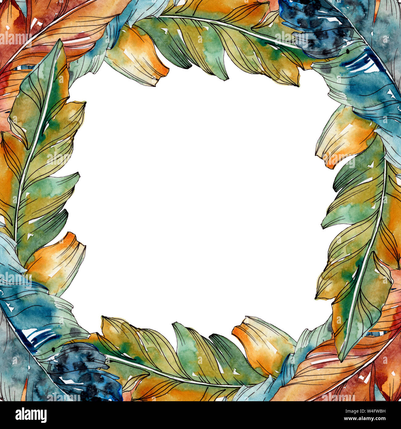 Colorful bird feather from wing isolated. Watercolor background ...