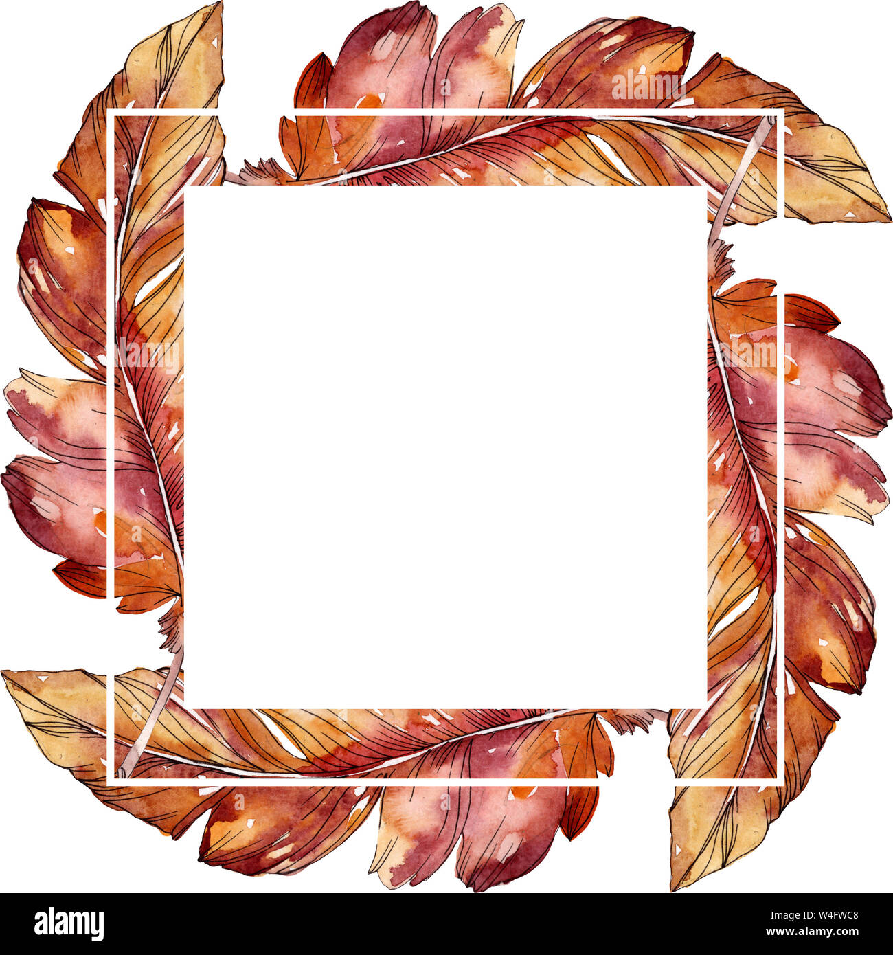 Colorful bird feather from wing isolated. Watercolor background ...