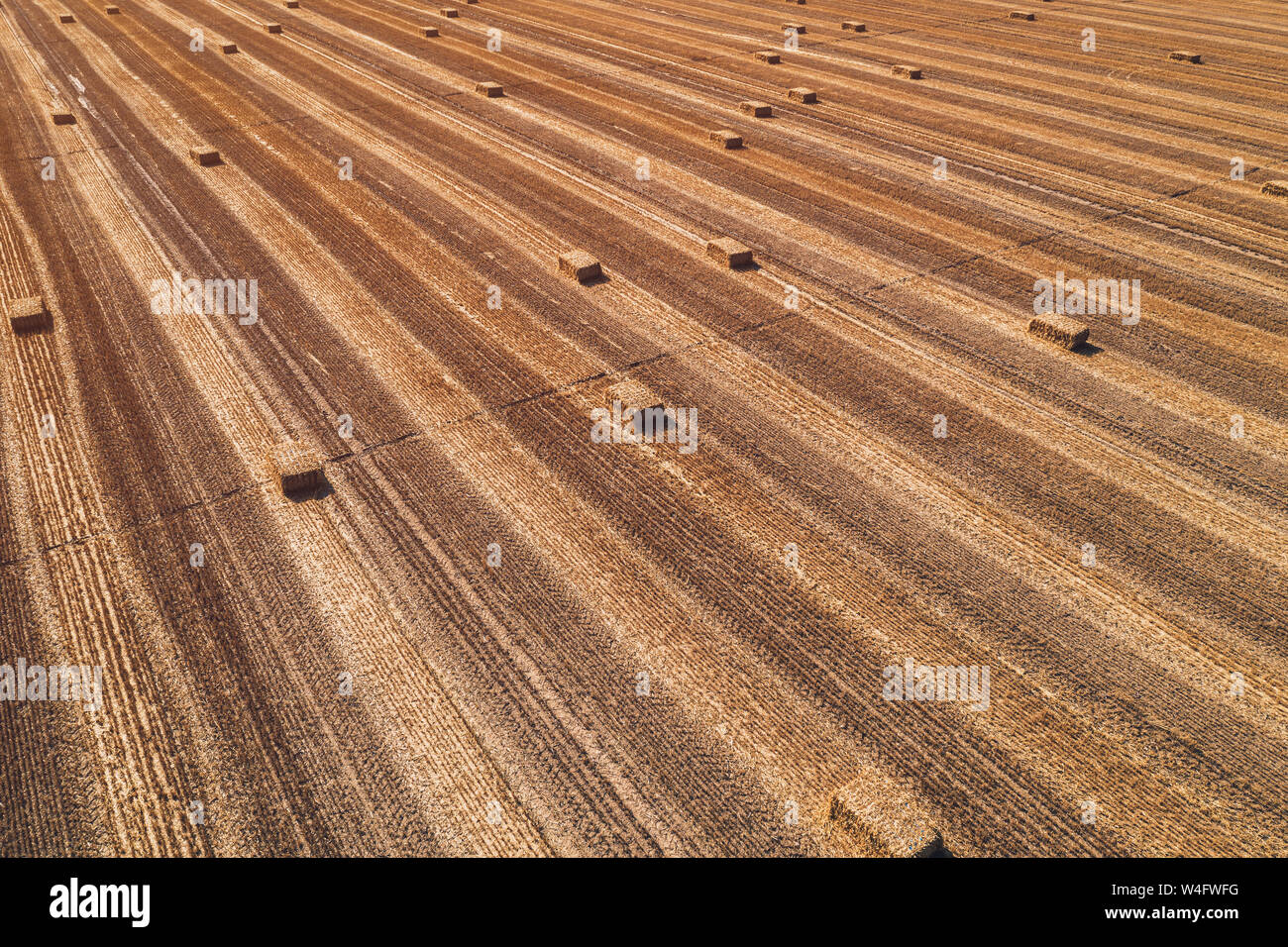 Square hay bales in field hi-res stock photography and images - Alamy