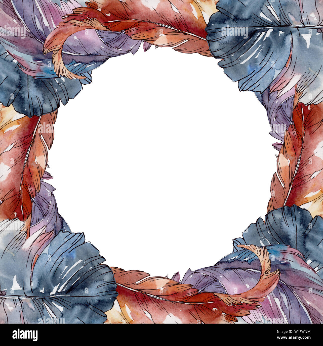 Colorful bird feather from wing isolated. Watercolor background ...