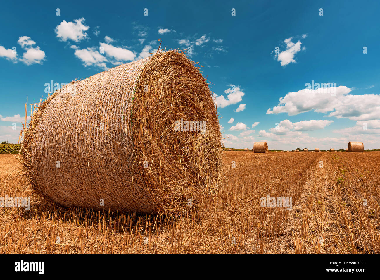 Drying Hay High Resolution Stock Photography and Images - Alamy