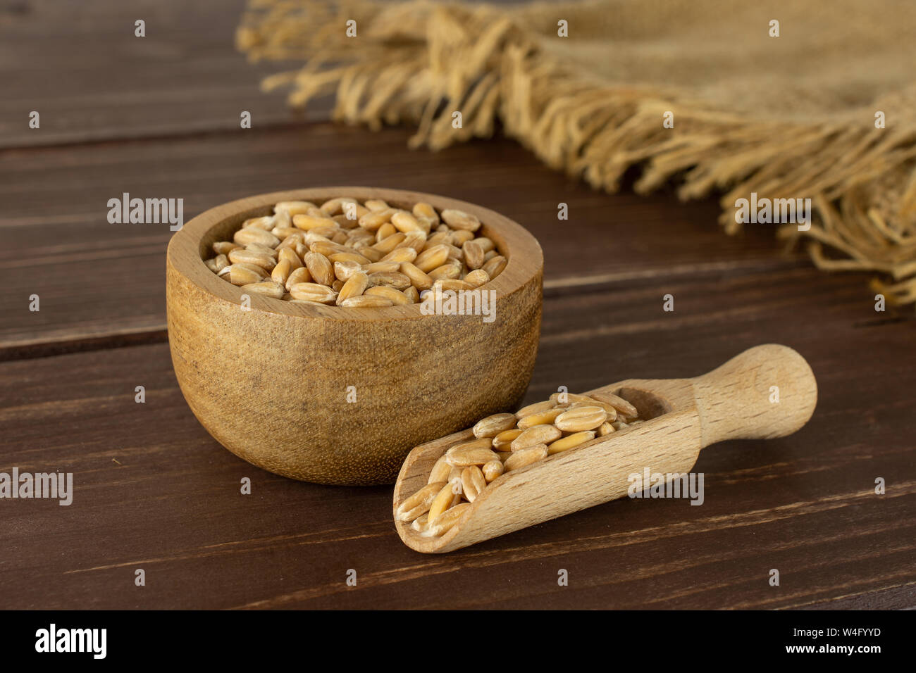 Lot of whole raw fresh beige dinkel wheat grain in a wooden bowl with ...