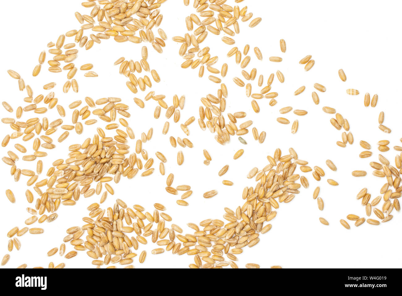 Lot of whole fresh beige dinkel wheat grain flatlay isolated on white ...