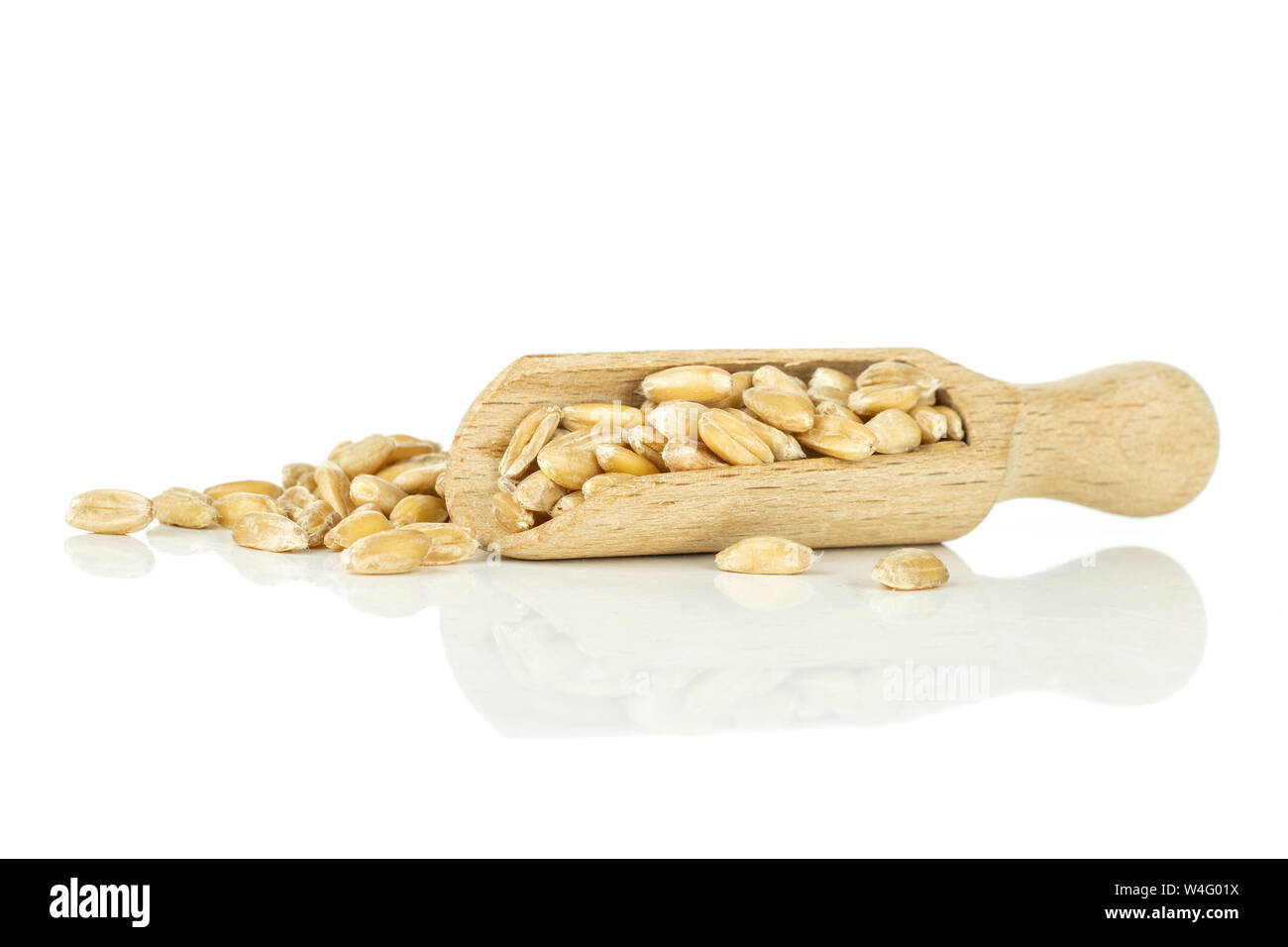 Lot of whole fresh beige dinkel wheat grain with wooden scoop isolated ...
