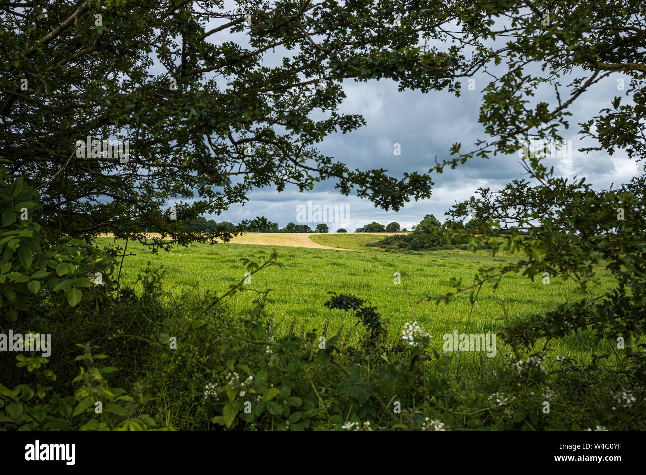 Views over farmland, fields in Two Pot House, County Cork, Ireland ...