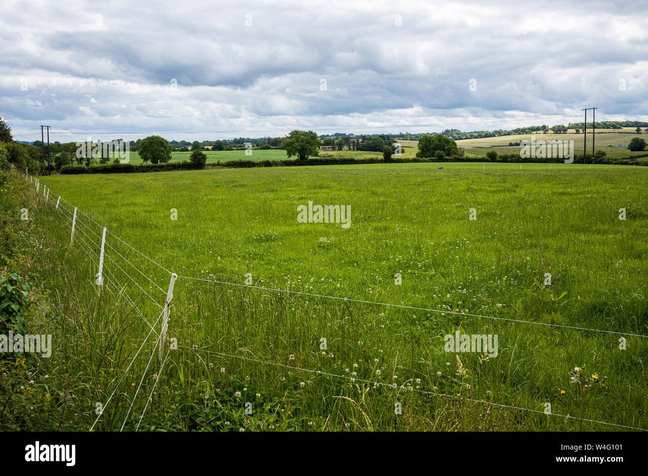 Views over farmland, fields in Two Pot House, County Cork, Ireland ...