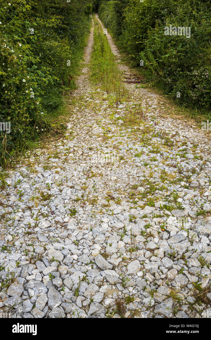 Gravel paved rough laneway, country track between fields in Two Pot ...