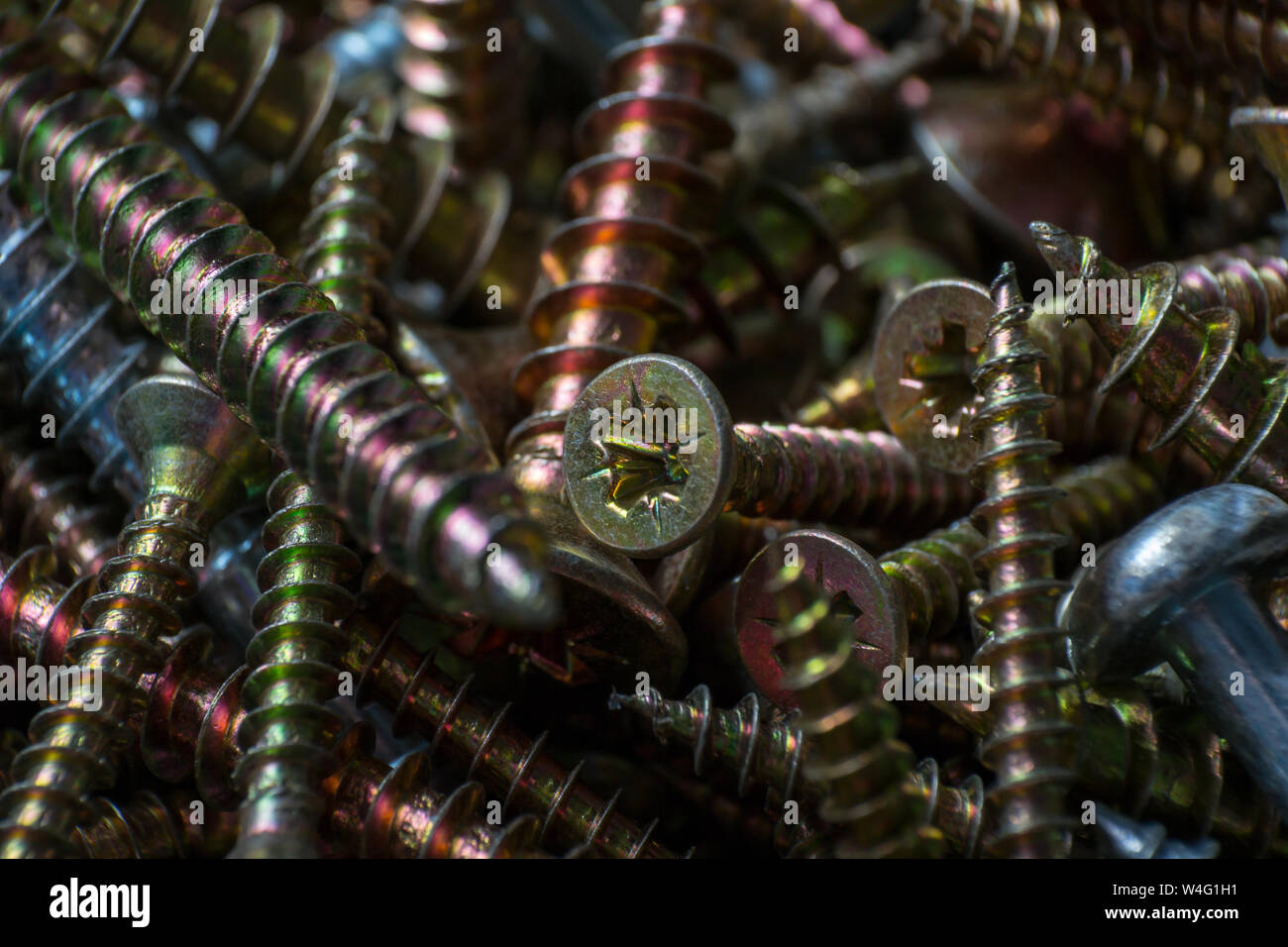 close-up photo of different types of screws Stock Photo - Alamy