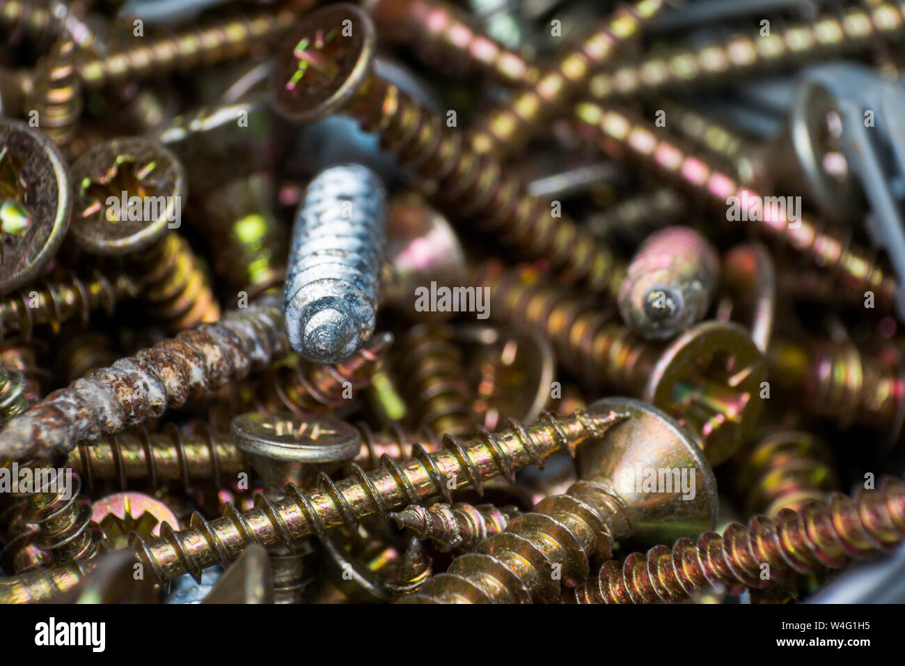 close-up photo of different types of screws Stock Photo - Alamy