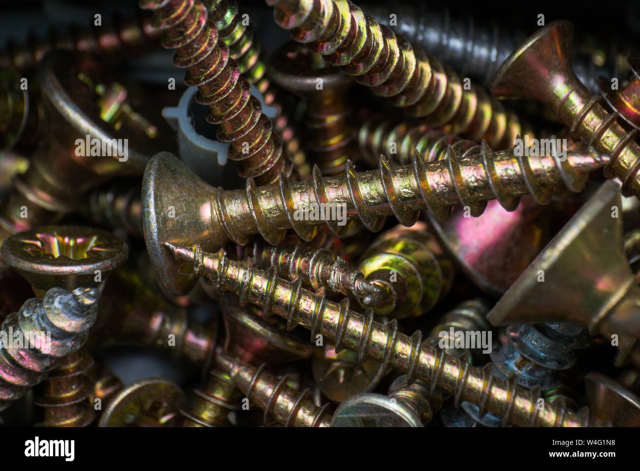 close-up photo of different types of screws Stock Photo - Alamy