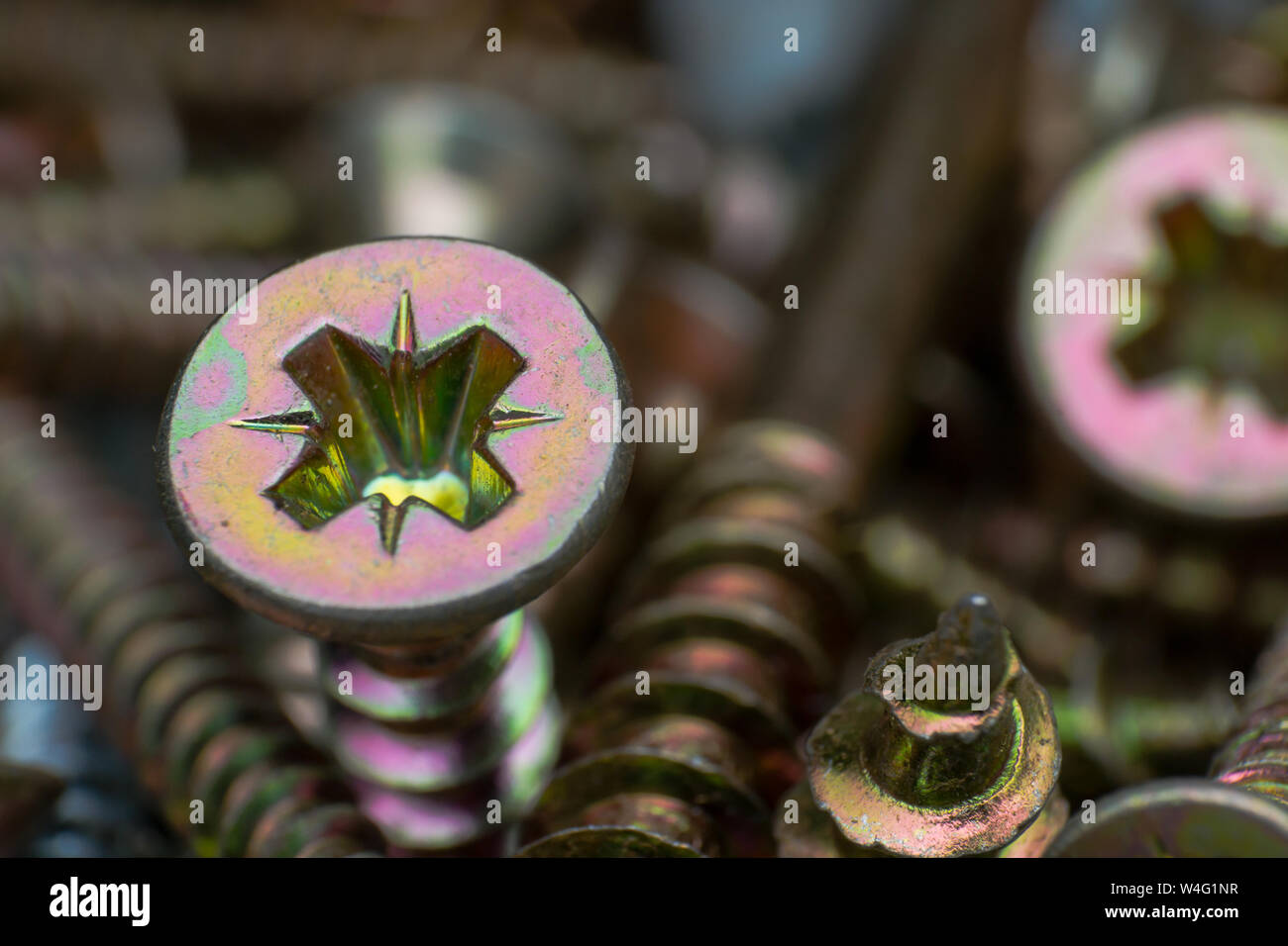 close-up photo of different types of screws Stock Photo - Alamy