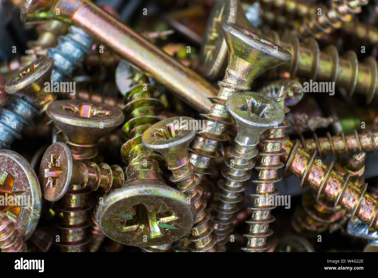 close-up photo of different types of screws Stock Photo - Alamy