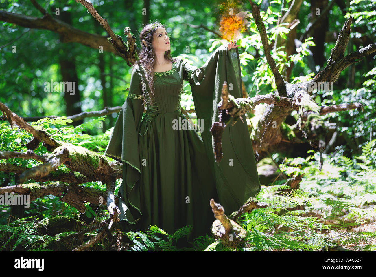 Fantasy forest hi-res stock photography and images - Alamy