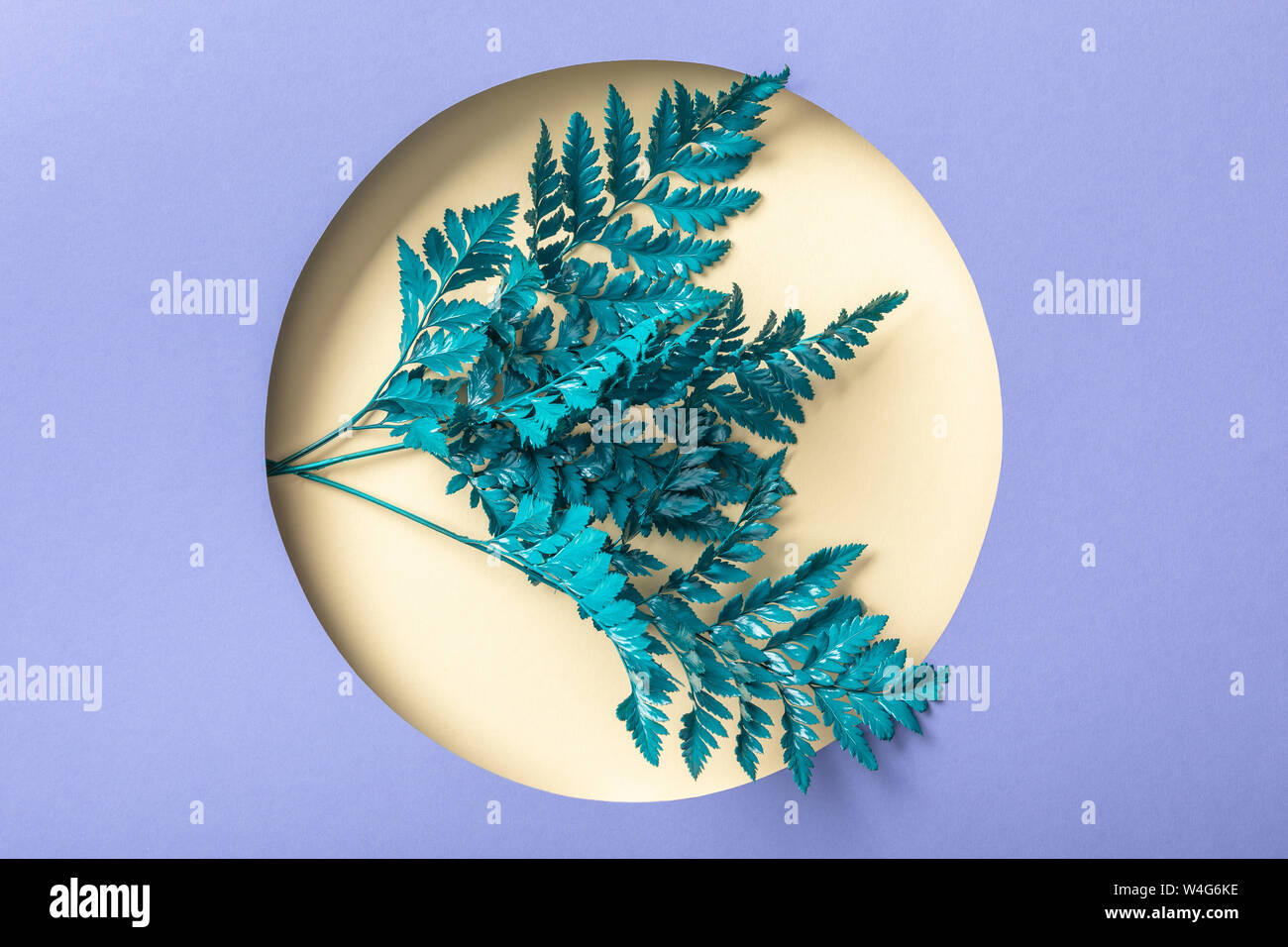 Leaves with hole hi-res stock photography and images - Alamy