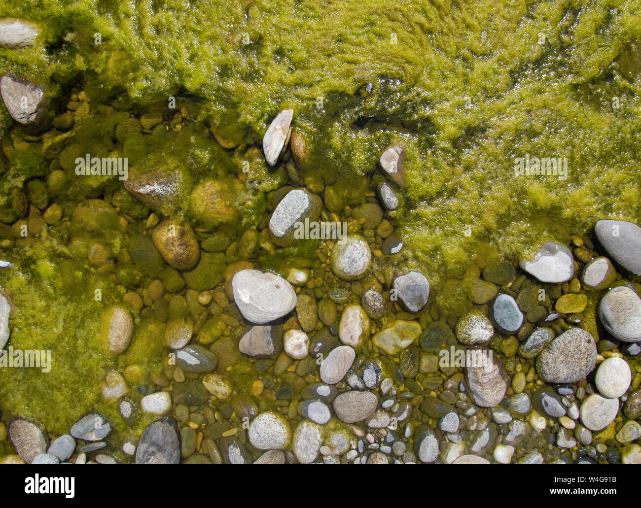 Pebbles puddle hi-res stock photography and images - Alamy