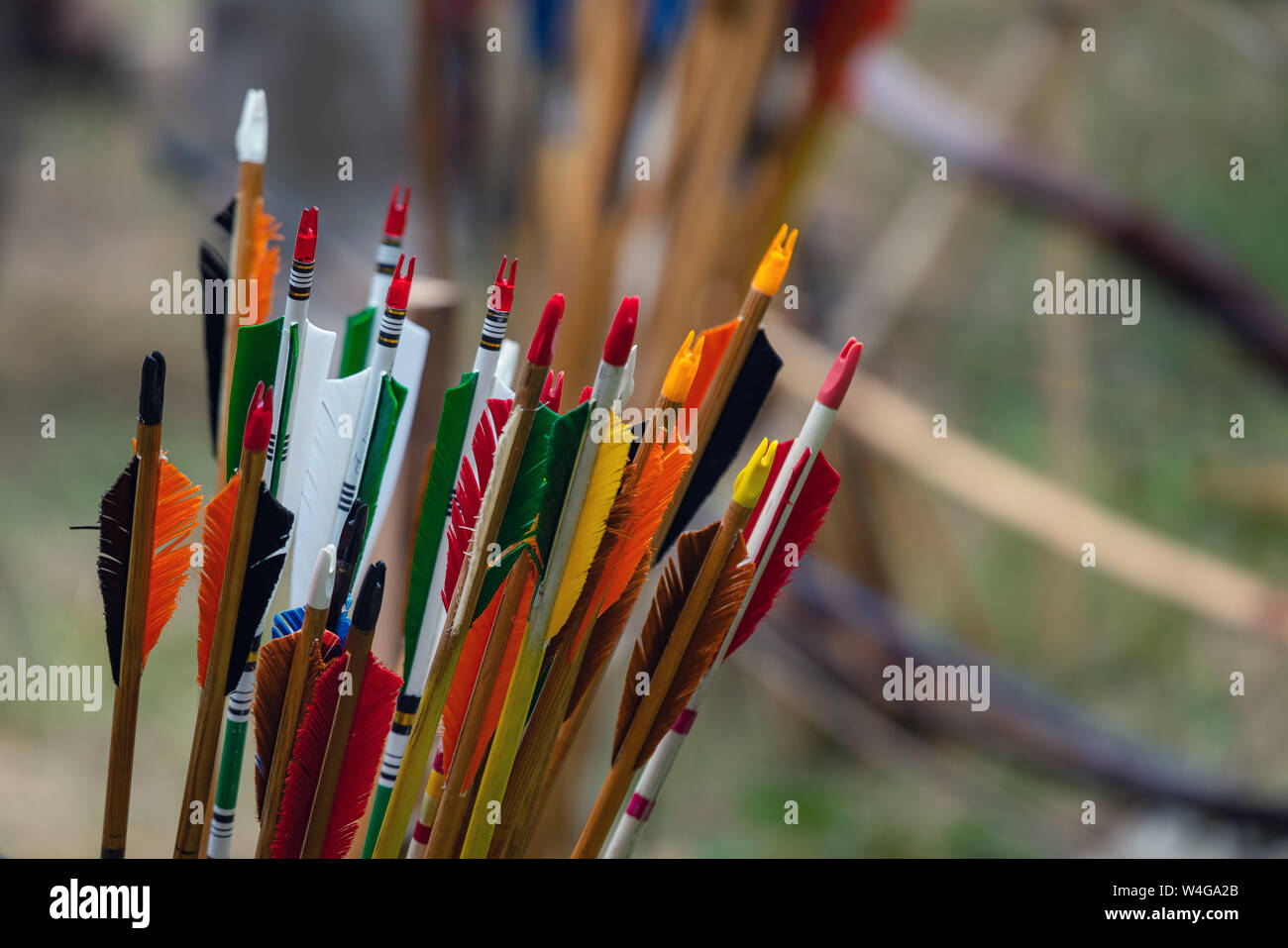 Bunch colourful of bow arrows for archery. Archer competition, shooting ...