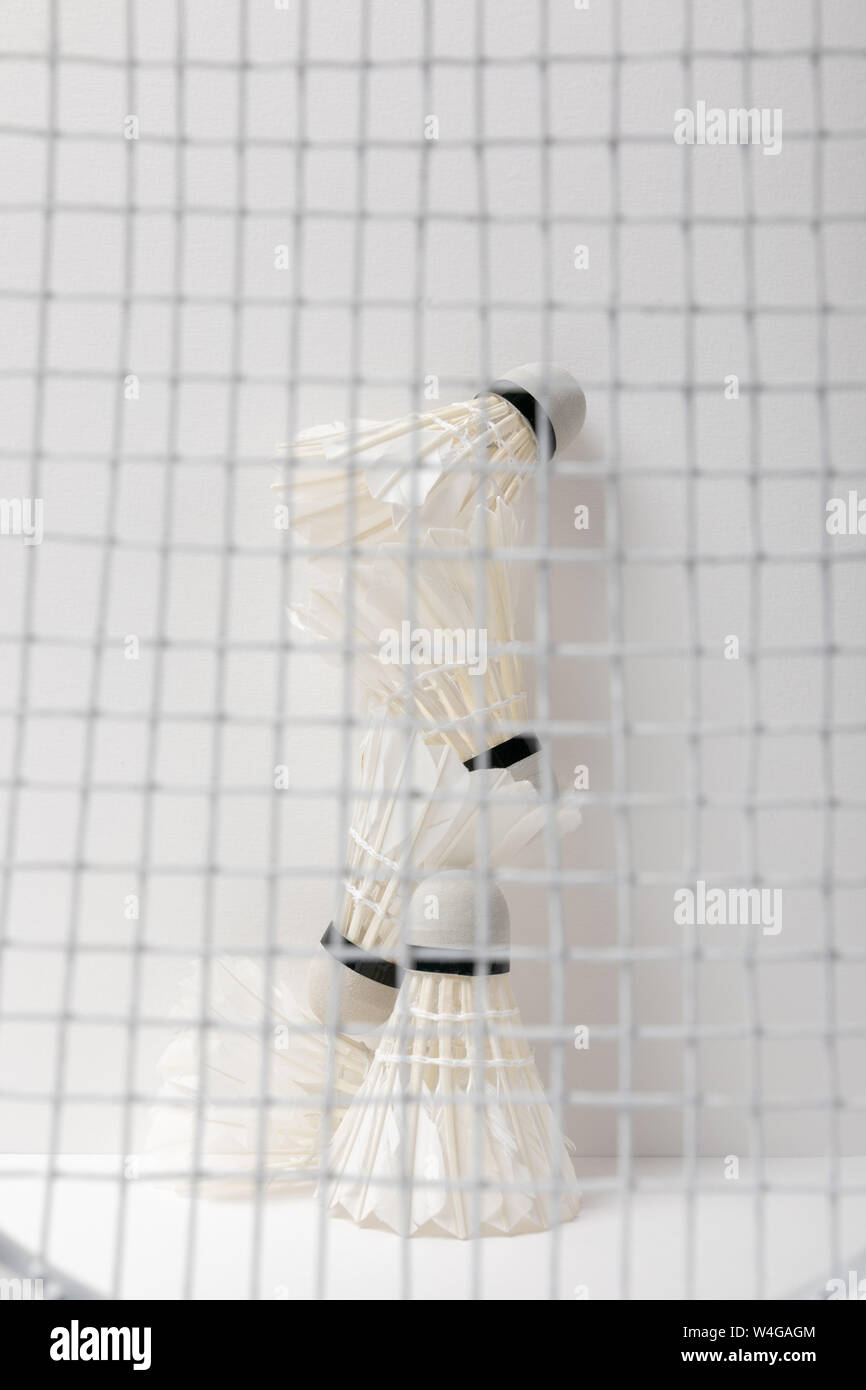 white badminton shuttlecocks behind racket net on white background ...