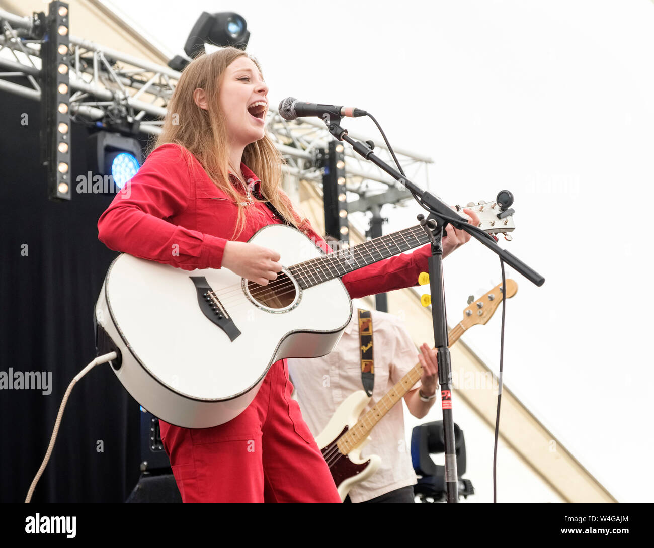 Singer bird hi-res stock photography and images - Alamy
