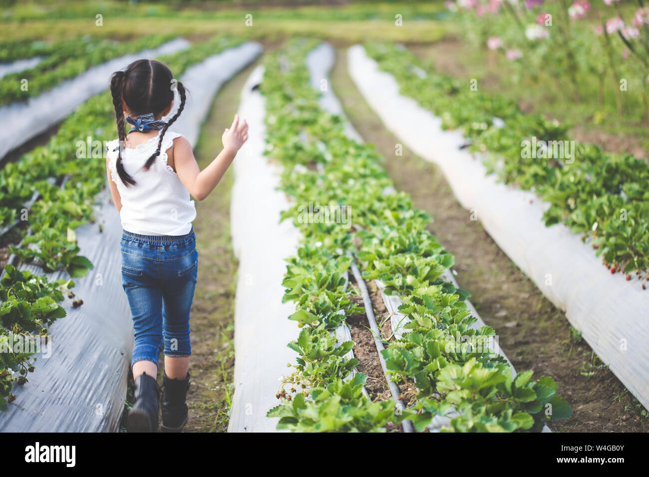 Kids in garden running hi-res stock photography and images - Alamy