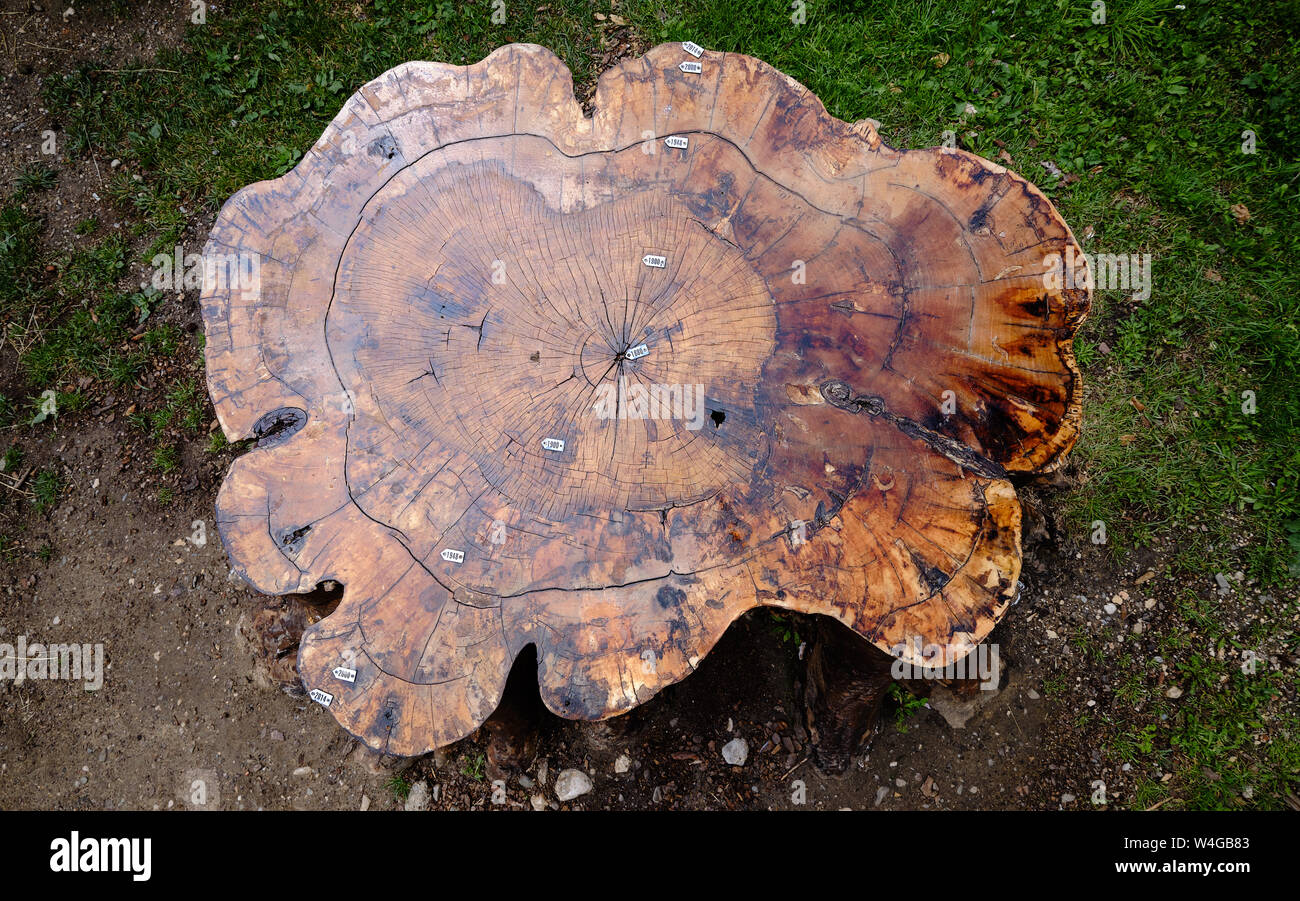 1880 label hi-res stock photography and images - Alamy