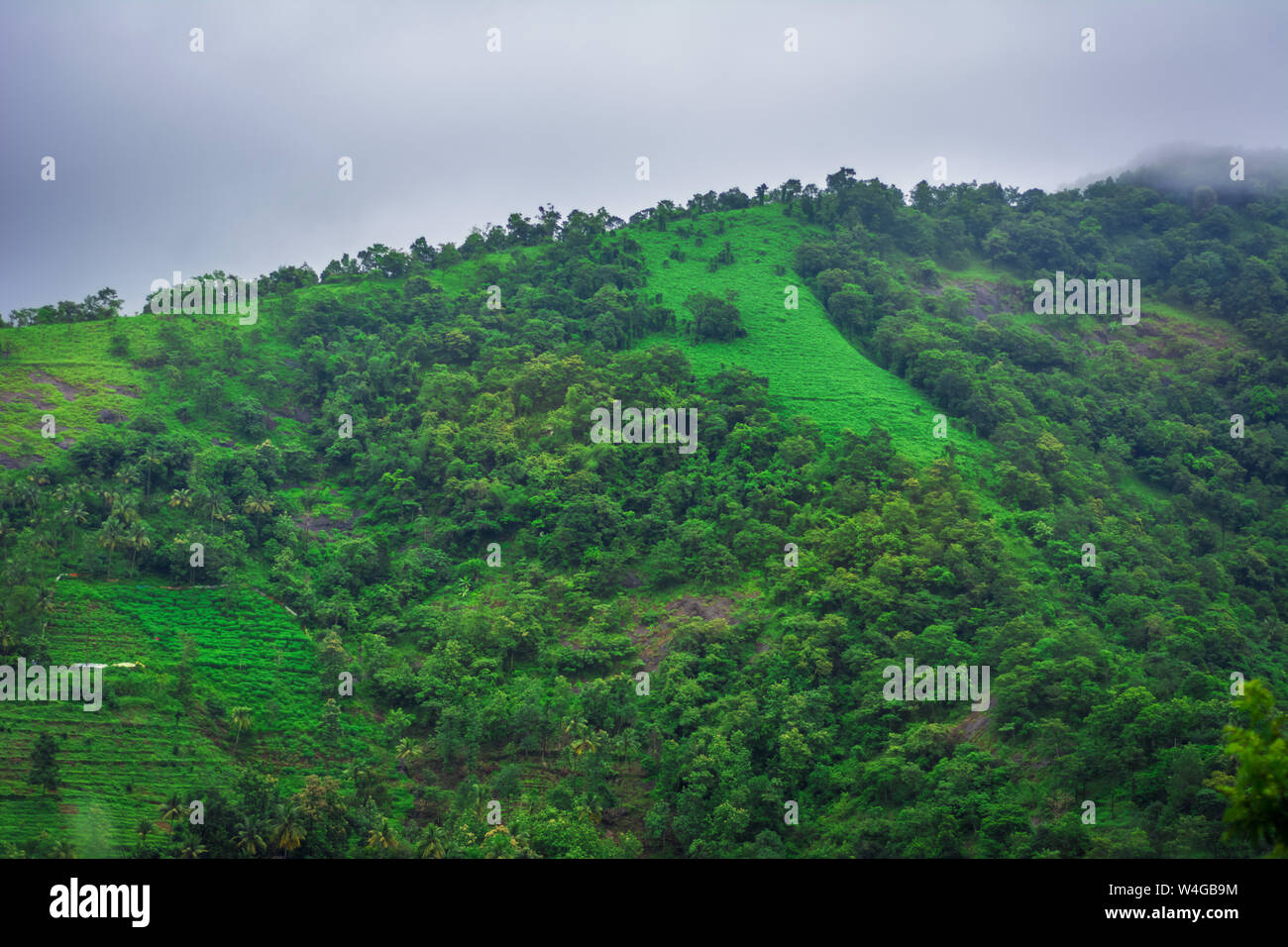 Vagamon, Kerala, India- 07 July 2019: a view point in Vagamon hills ...