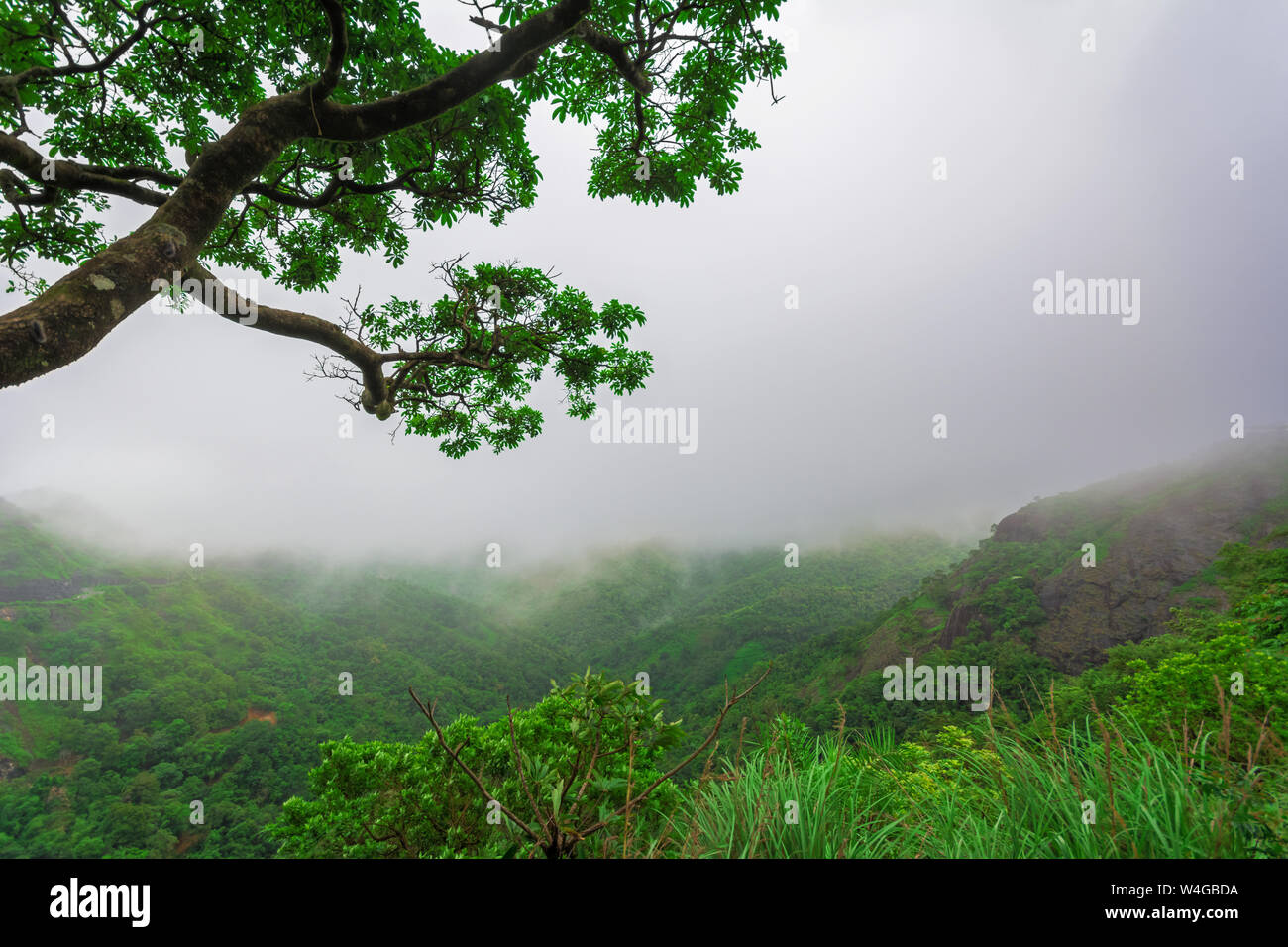 Vagamon view point hi-res stock photography and images - Alamy