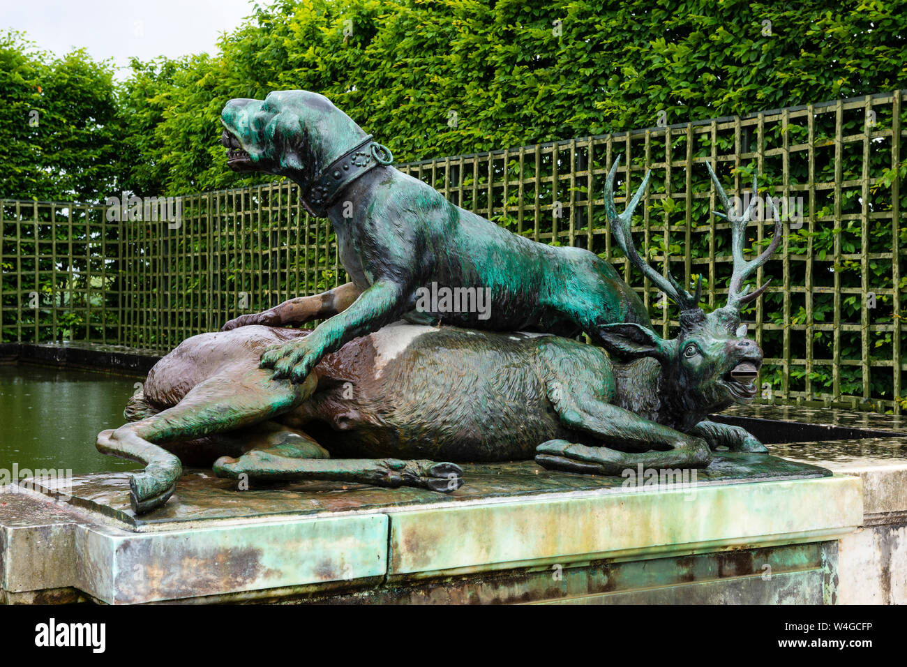 Bloodhound bringing down stag hi-res stock photography and images - Alamy