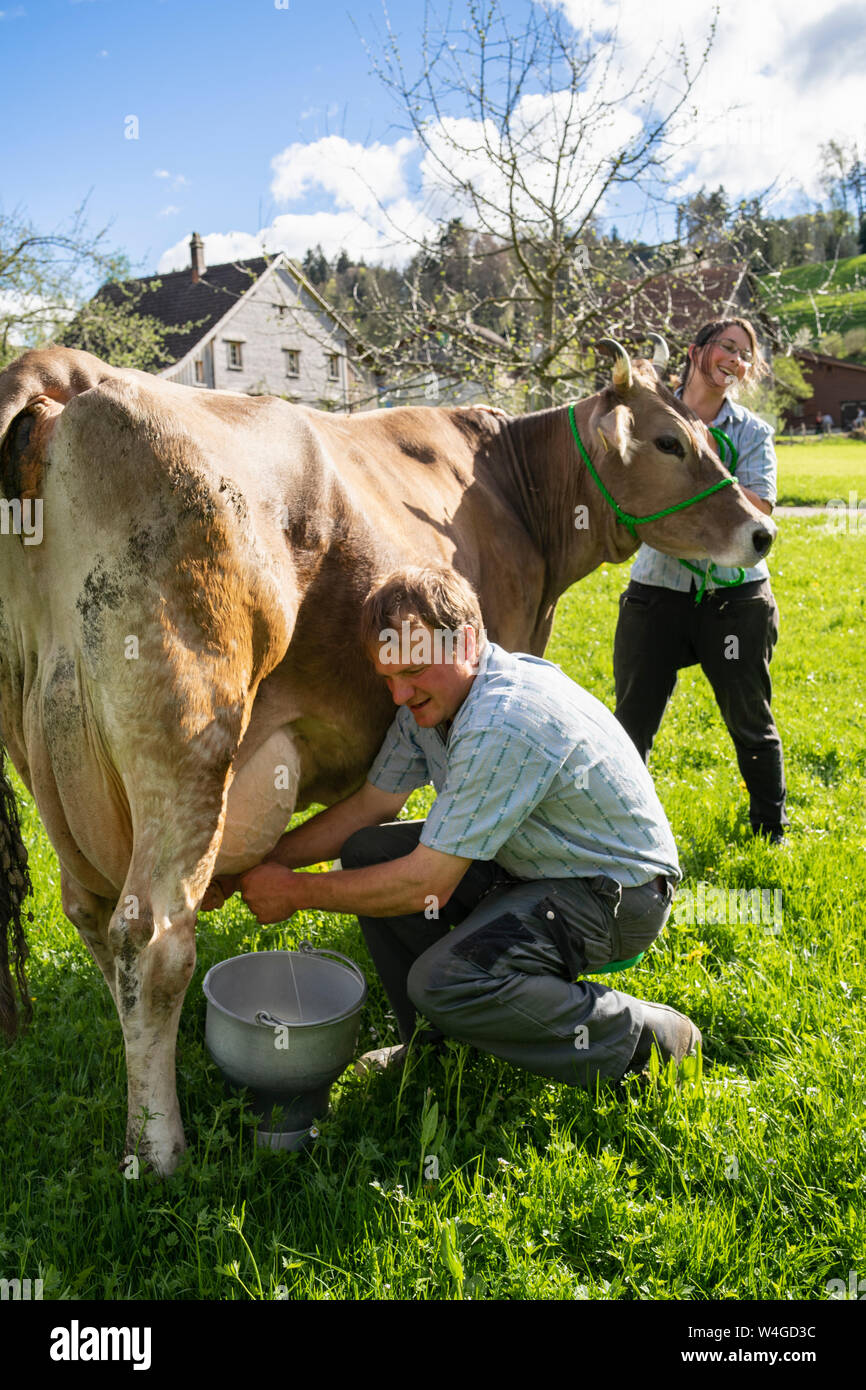 Milking a cow alps hi-res stock photography and images - Alamy