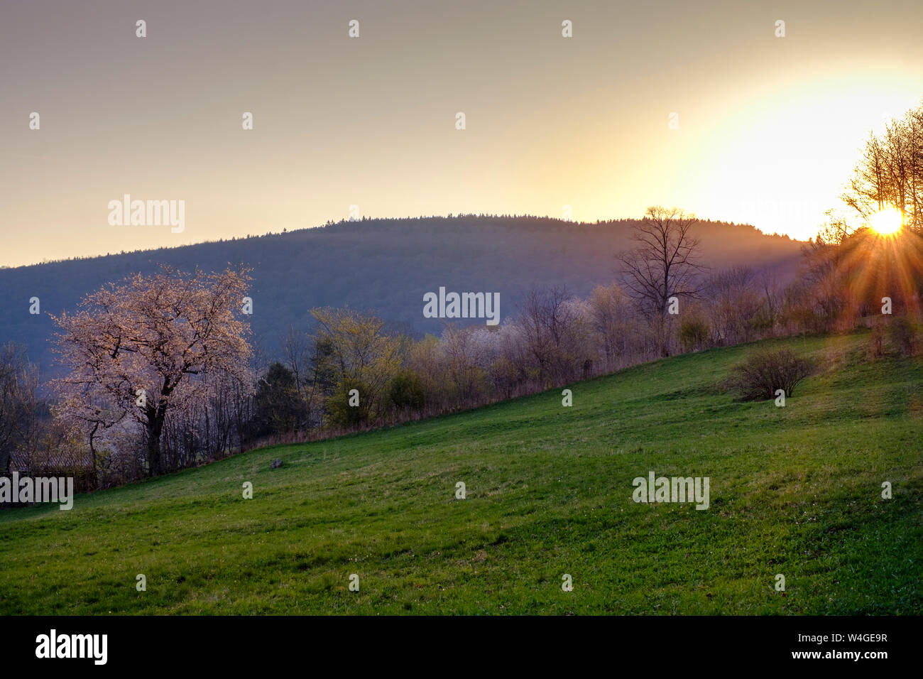 Ehrenberg hi-res stock photography and images - Alamy