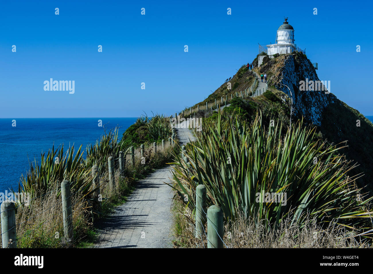 Nugget point new zealand hi-res stock photography and images - Alamy