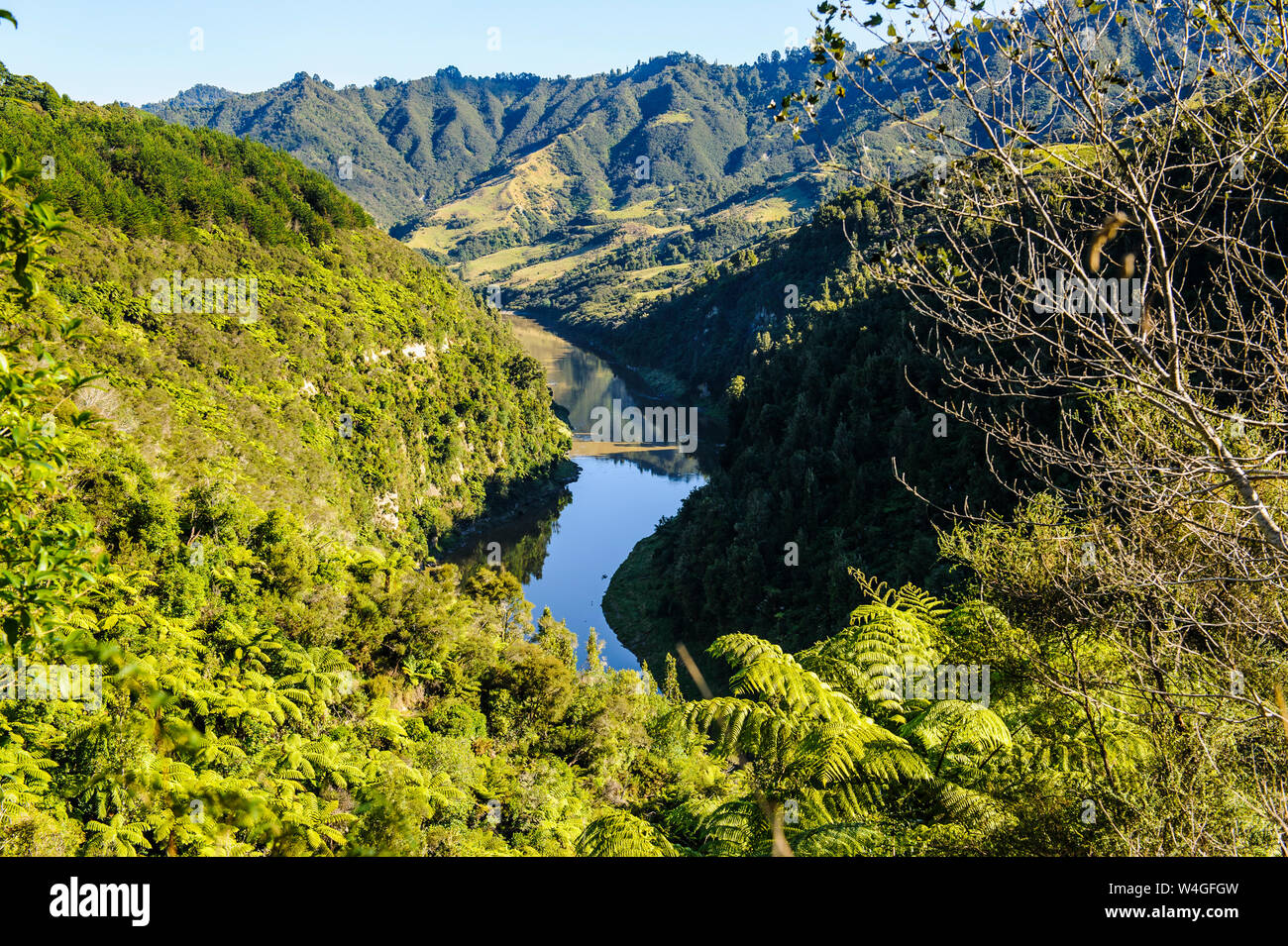 Whanganui river hi-res stock photography and images - Alamy