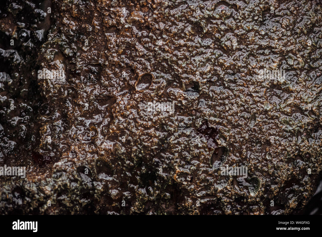 Wet brown stone hi-res stock photography and images - Alamy