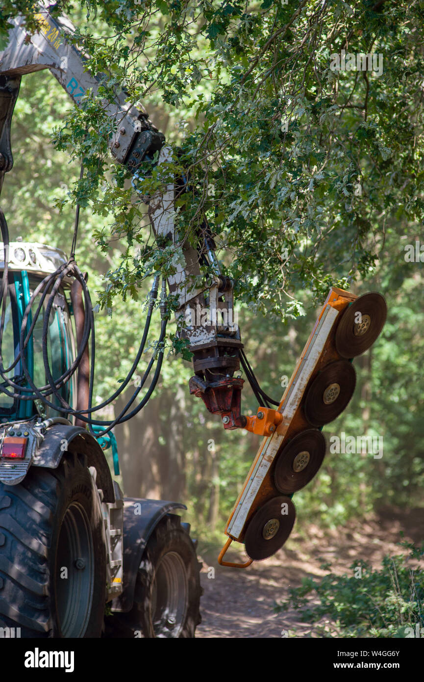 23 July 2019, Saxony-Anhalt, Haldensleben: A track gate with a high saw ...