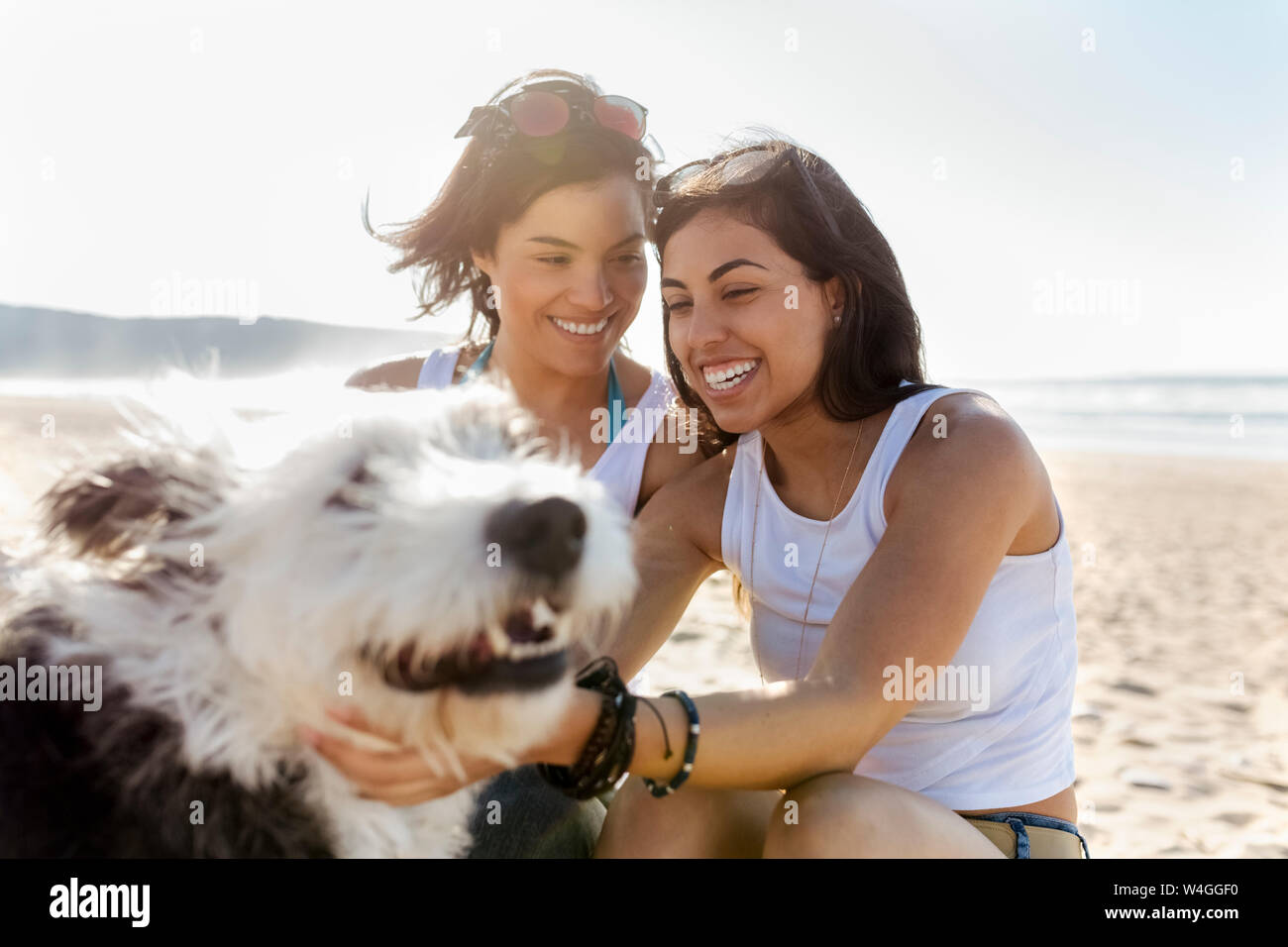 Happy female friends with dog on the beach Stock Photo - Alamy