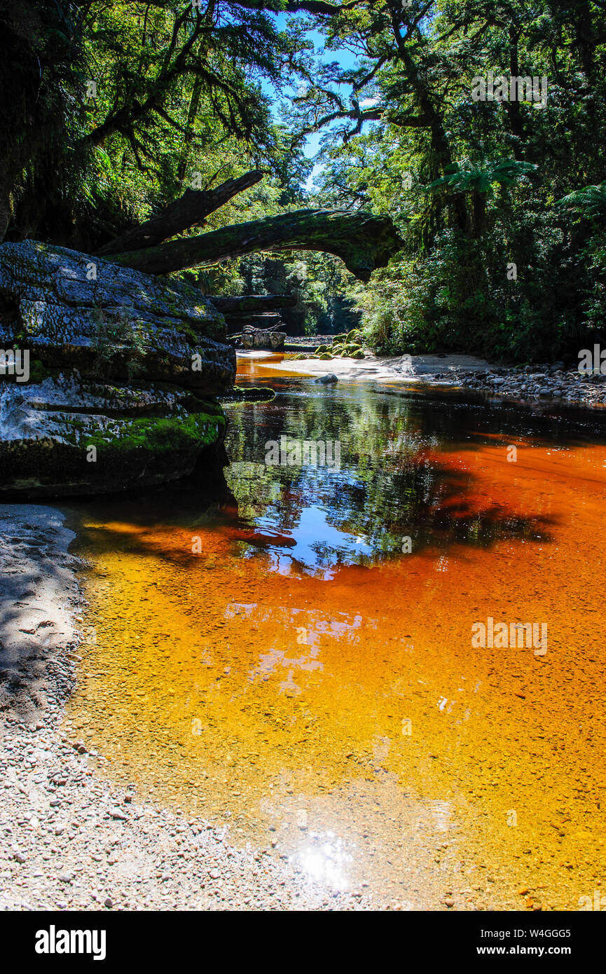 Moria Gate Arch in the Oparara Basin, Karamea, South Island, New ...