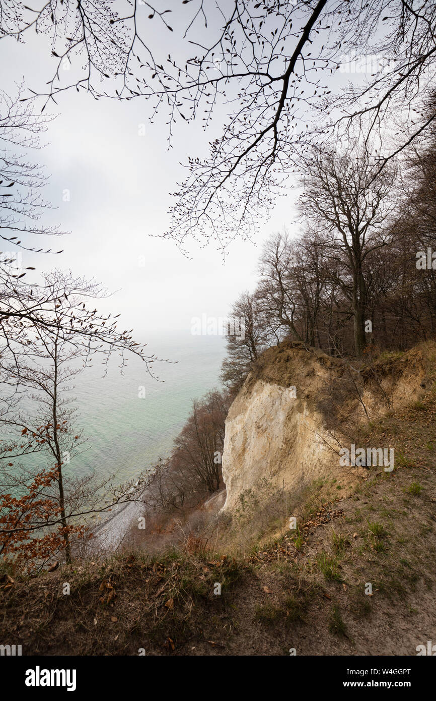 Chalk cliff, Jasmund National Park, Ruegen, Germany Stock Photo - Alamy