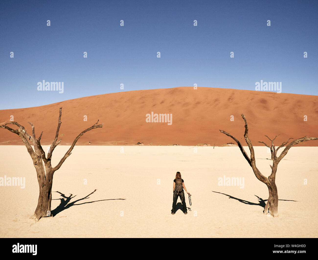 Woman standing by trees hi-res stock photography and images - Alamy