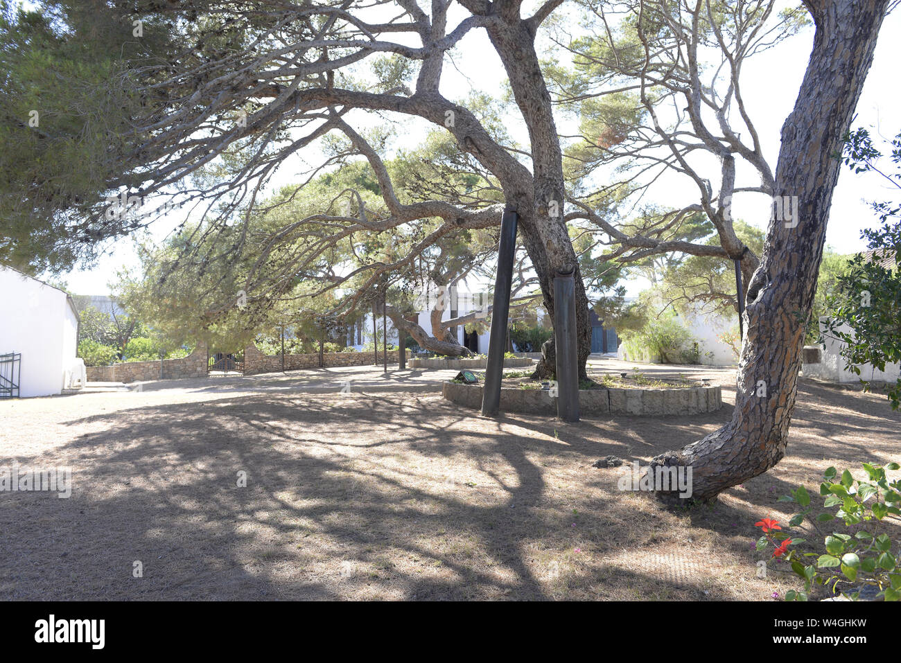 General garibaldis hi-res stock photography and images - Alamy