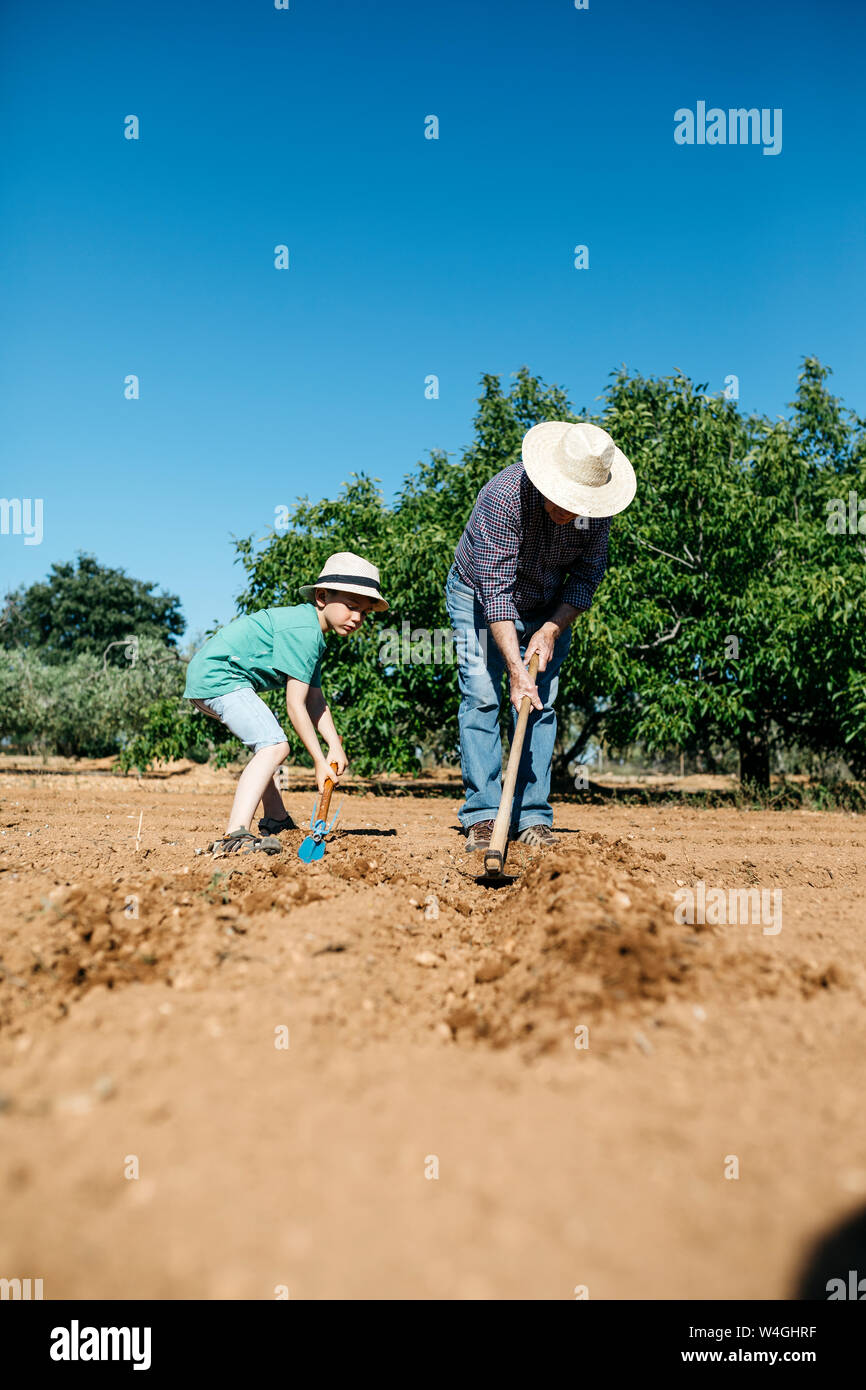 Boy plowing field hi-res stock photography and images - Alamy