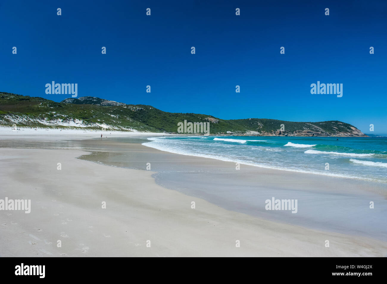 White sand beach, Wilsons Promontory National Park, Victoria, Australia ...