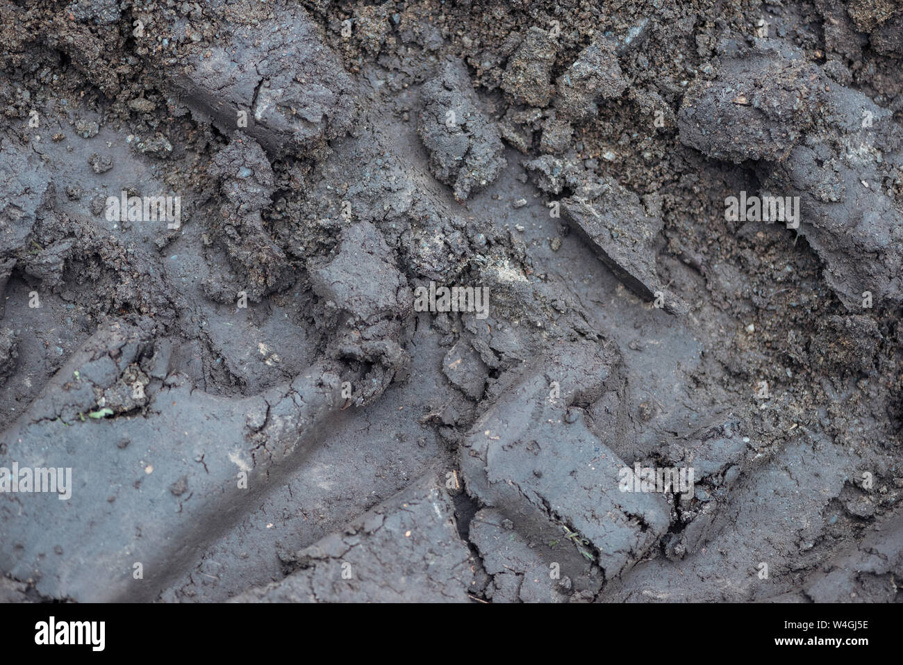 top view of grey textured dry mud seamless background Stock Photo - Alamy