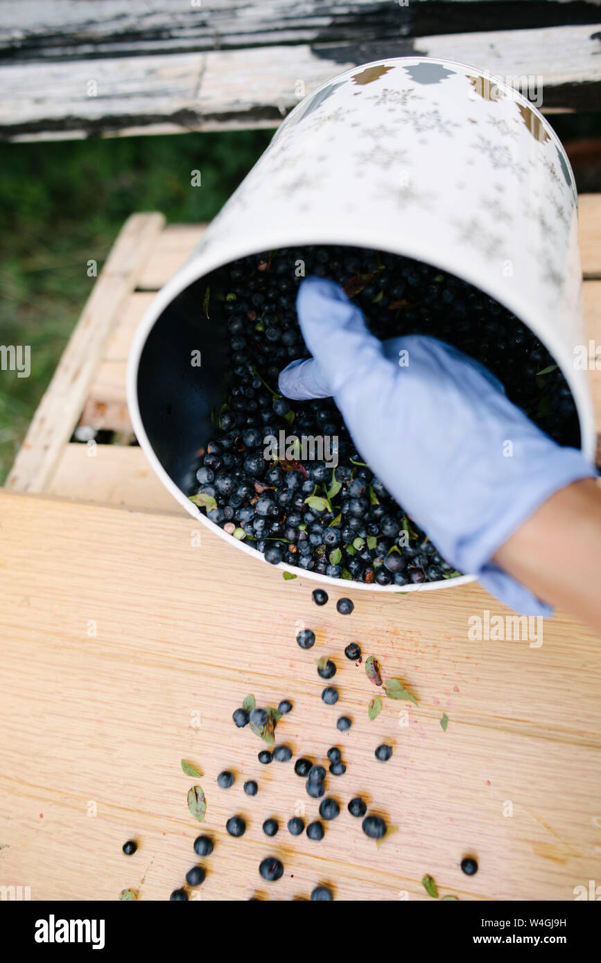 Collecting objects hi-res stock photography and images - Alamy