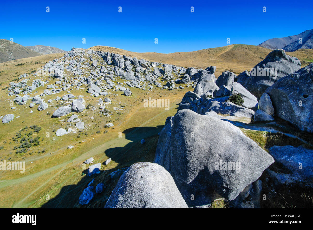 Limestone outcrops on Castle Hill, South Island, New Zealand Stock ...